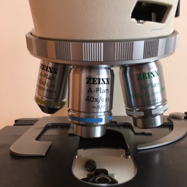 Microscopio Zeiss Axioskop 50 – Microscopistas