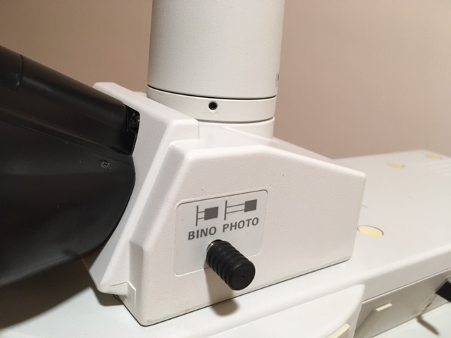 Fluorescence microscope Nikon 80i – Microscopistas