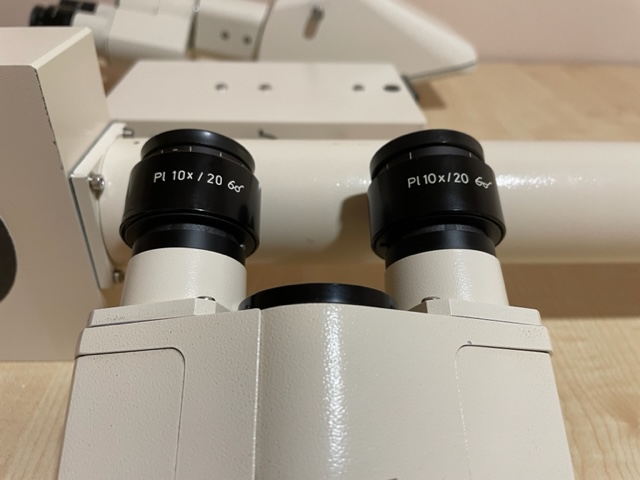 Zeiss Axio series dual viewing system – Microscopistas